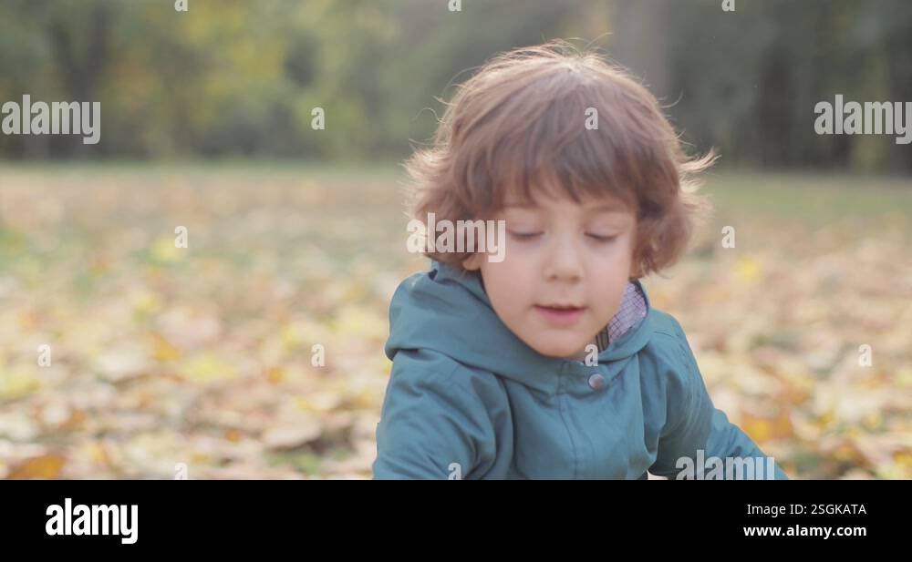 a little boy throws leaves in the autumn in the park, laughs and ...