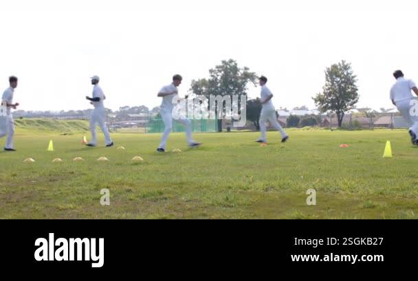 Team of multiracial male cricket players practicing cricket wearing ...