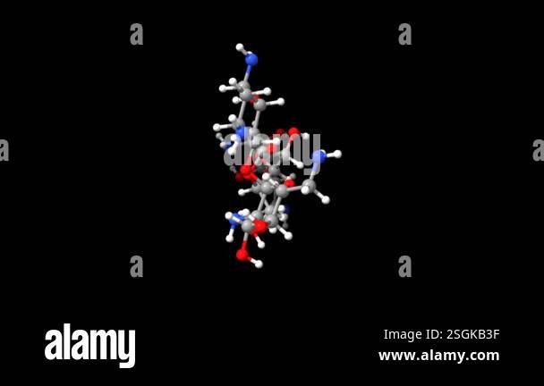 Structure of aminoglycoside antibiotic neomycin. Animated 3D ball-and ...