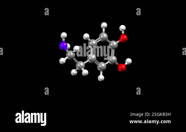 Structure of hormone dopamine. Animated 3D ball-and-stick and space ...