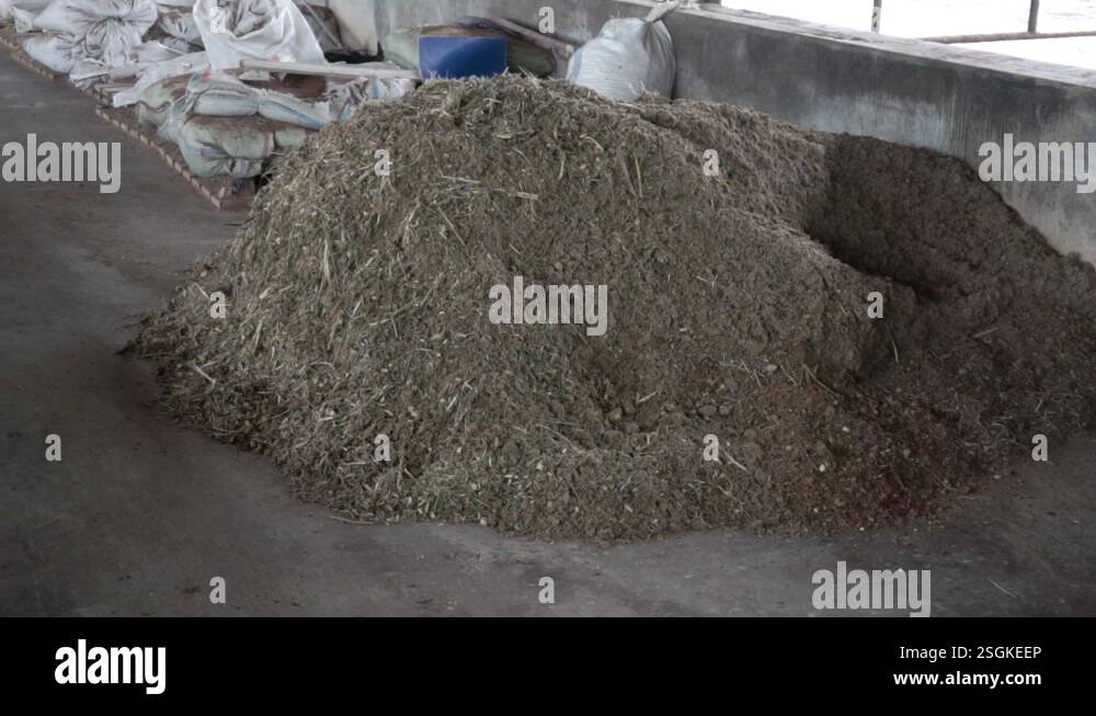 pile of grass and hay in a organic farm for cow cattle feeding Stock ...