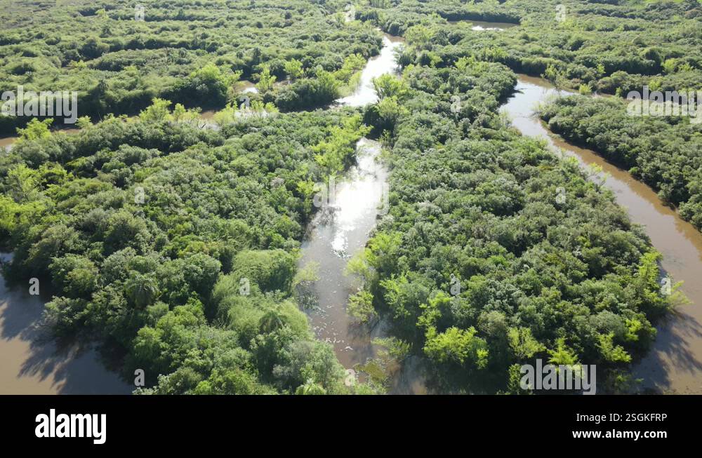 Riparian woodland Stock Videos & Footage - HD and 4K Video Clips - Alamy