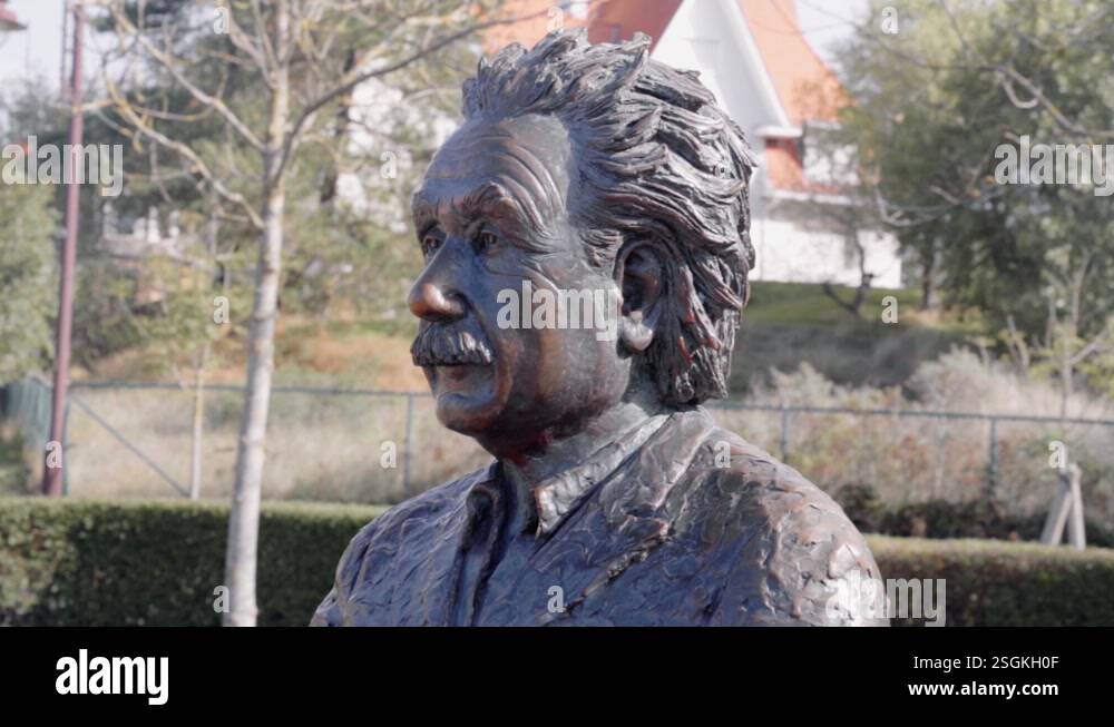 Albert Einstein statue in the Concessie Quarter in de Haan, Belgium Stock Video Footage - Alamy