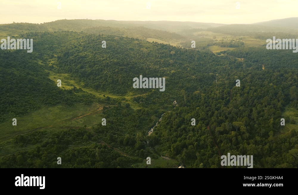 Mau forest kenya Stock Videos & Footage - HD and 4K Video Clips - Alamy