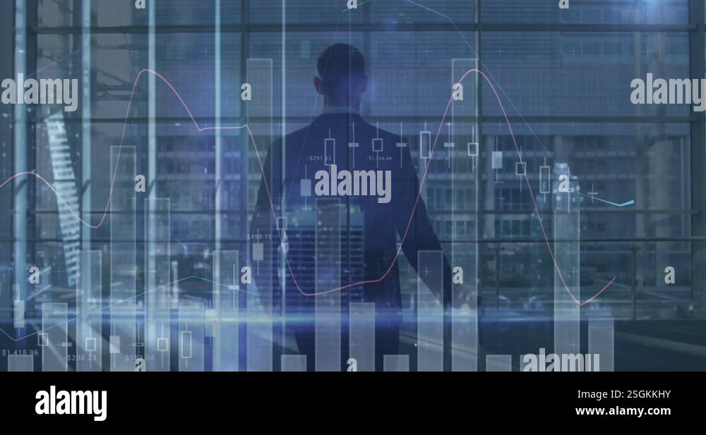 Animation of financial graphs over back view of caucasian businessman ...