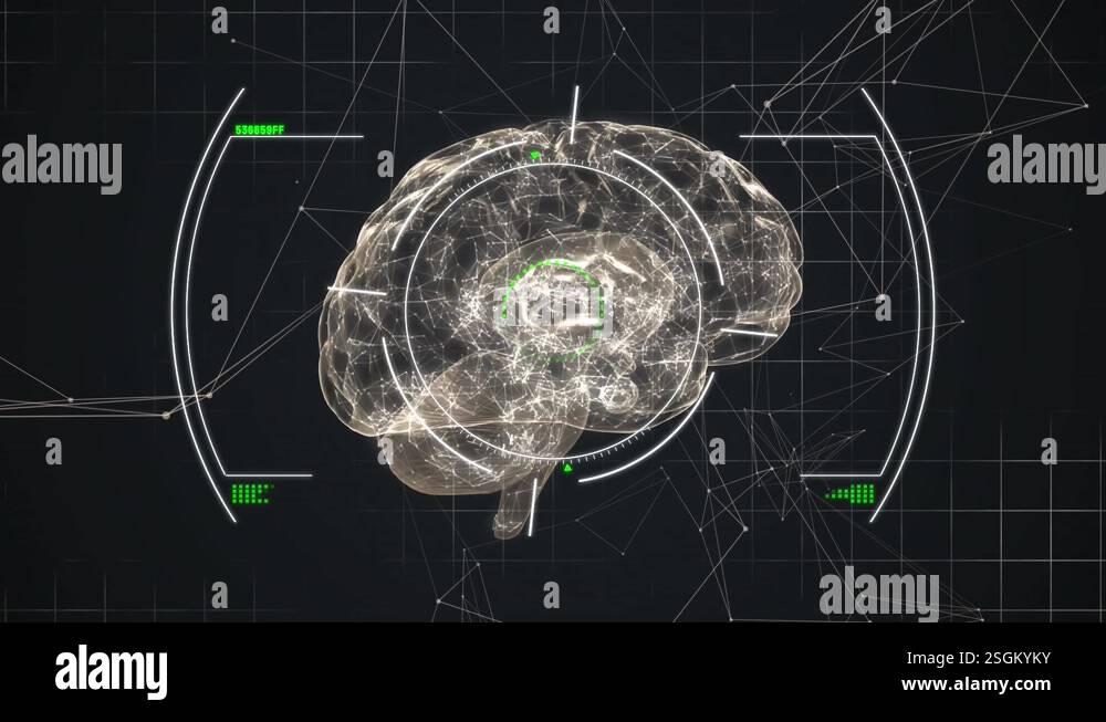 Animation of scope scanning over digital brain and network of ...