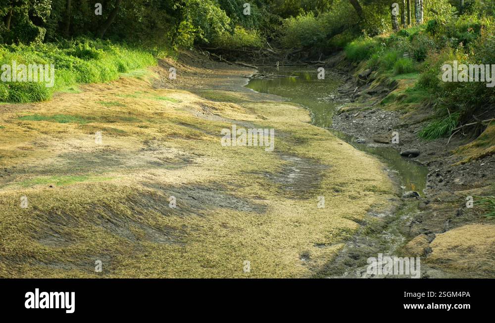 Drought river cracked crust soil stream cracks dry wetland ...