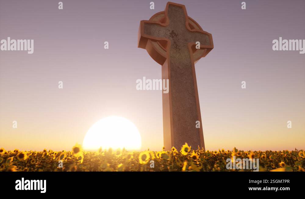 Large medieval-style cross on a sunflowers field with the sunset behind ...
