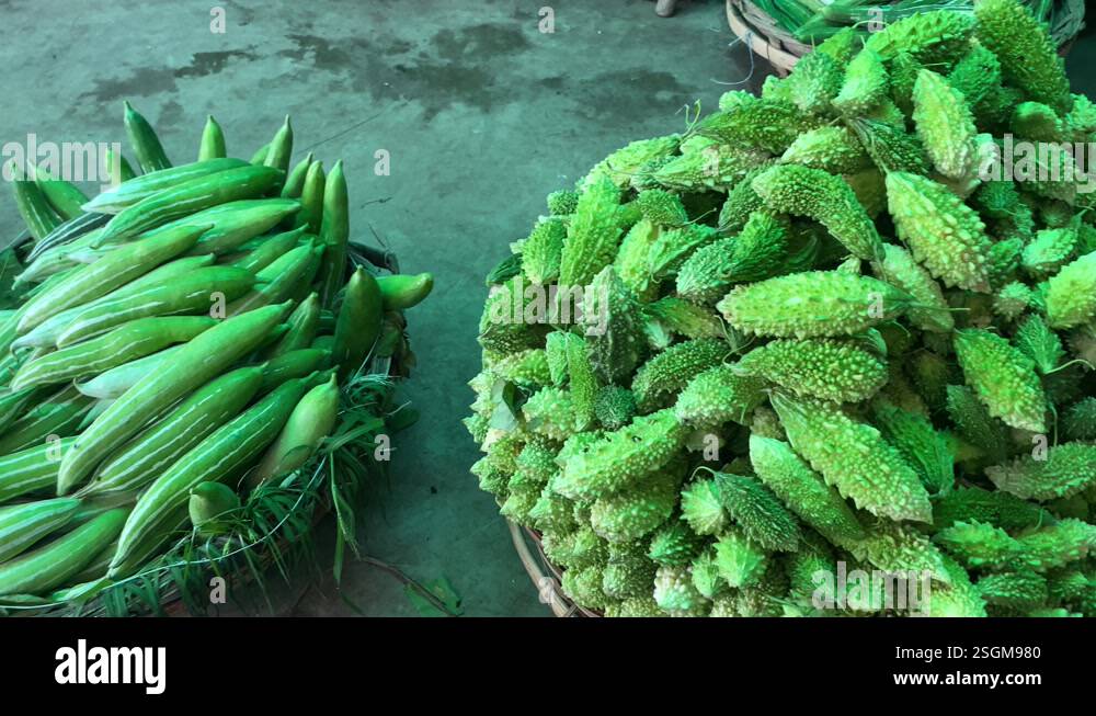 Bitter gourd kept in basket in a local market in Bangladesh with ...