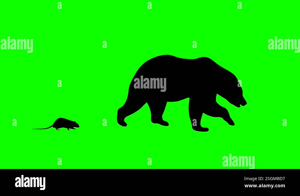 Animation with bear and rat Stock Video Footage - Alamy