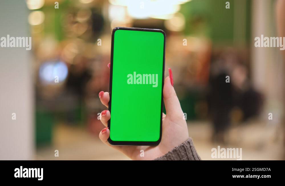 Mall. Shopping center. Department store. Back view of brunette holding ...