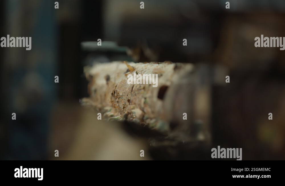 Modern woodworking equipment processing the raw lumber logs at the ...