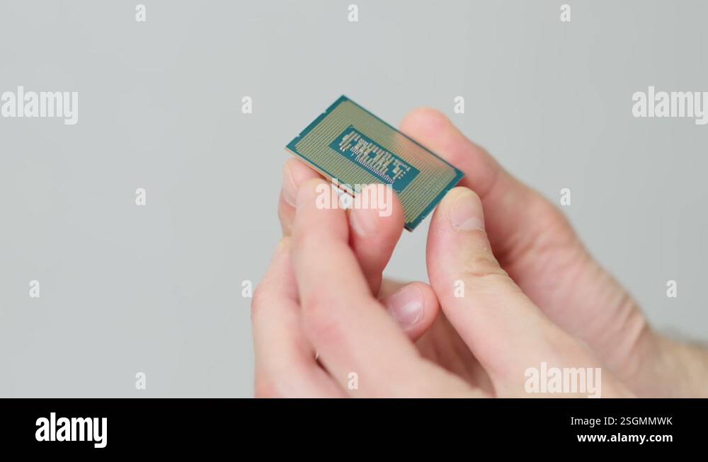 CPU in a man's hand. The processor is being examined for apparent ...