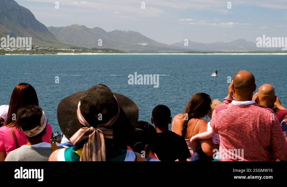 People watch as whale breaches, Walker Bay, Hermanus; land-based whale ...