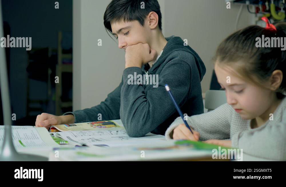 Smart boy student doing homework, reading books with his sister ...