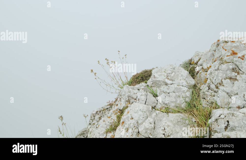 Mountain landscape. Close-up of a stone rock on top of a mountain with ...