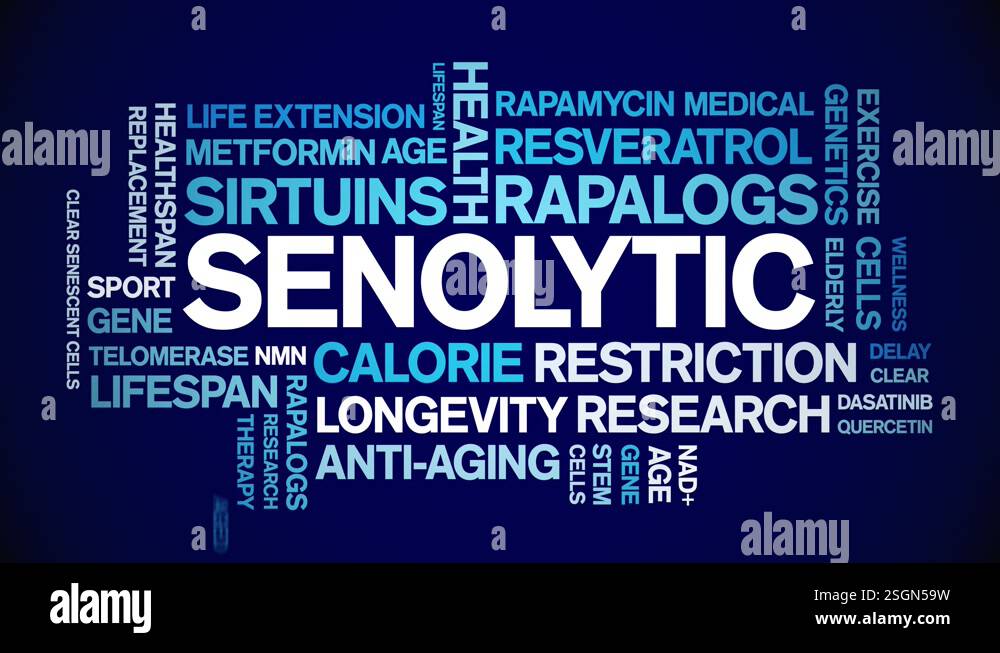 Senolytic animated word cloud,animation tag kinetic typography loop ...