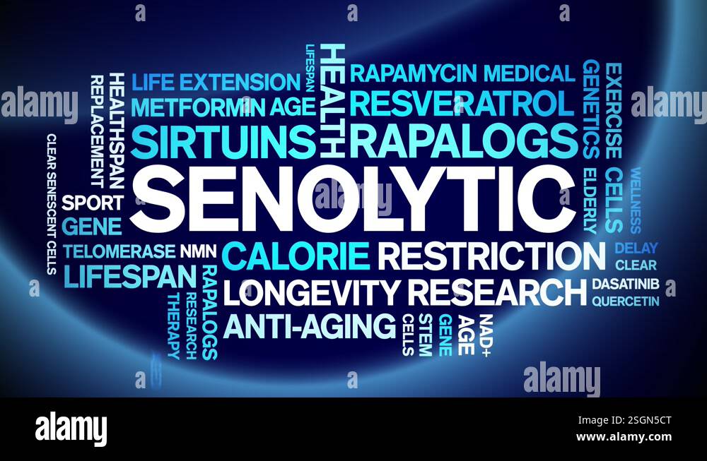 Senolytic animated word cloud,animation tag kinetic typography loop ...