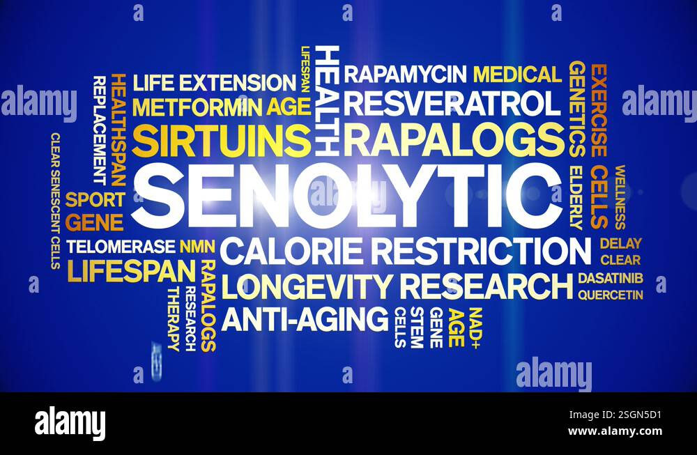 Senolytic animated word cloud,animation tag kinetic typography loop ...