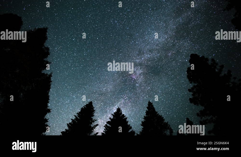 8K Sequoia National Park Perseid Meteor Shower and Milky Way Galaxy ...