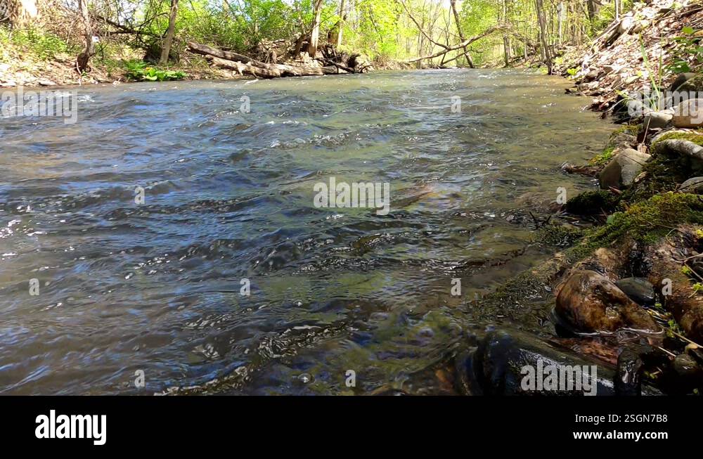 Turbulence Creek River Trout Stream 02 Stock Video Footage - Alamy