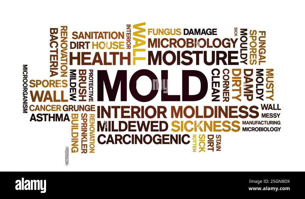 Mold animated word cloud,text animation tag kinetic typography seamless ...