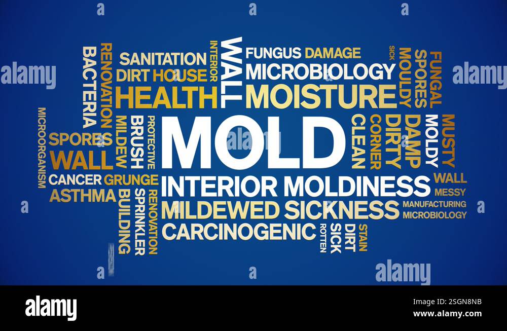 Mold animated word cloud,text animation tag kinetic typography seamless ...