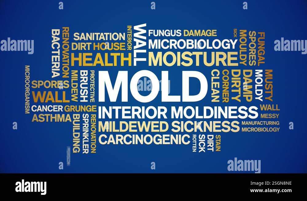 Mold animated word cloud,text animation tag kinetic typography seamless ...
