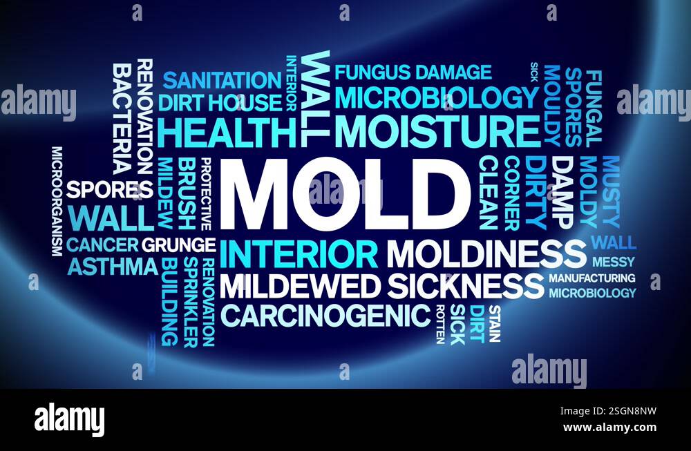 Mold animated word cloud,text animation tag kinetic typography seamless ...