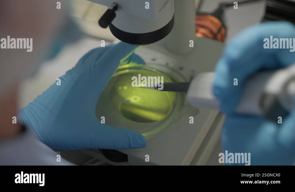 Worker taking a sample of the egg liquid to test the food quality at a ...