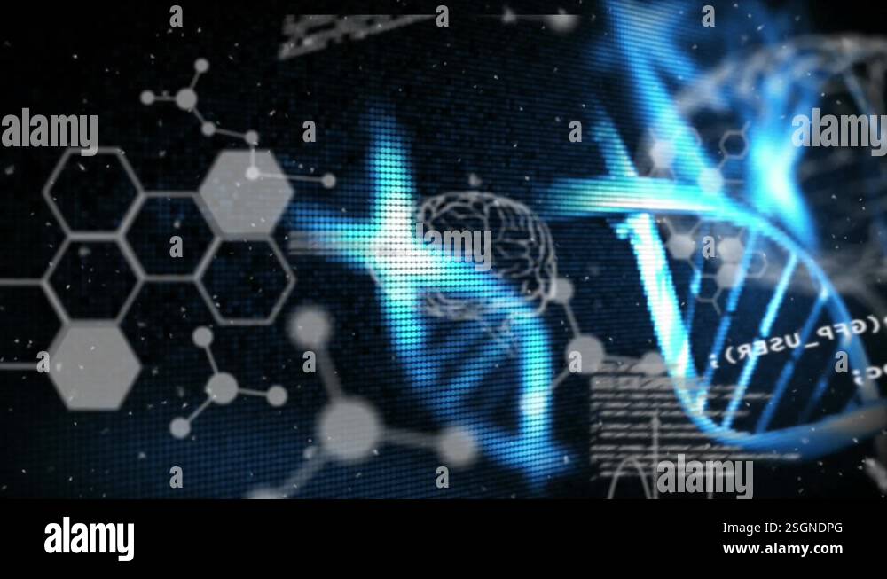 Animation of human brain, dna and molecular structures over data ...