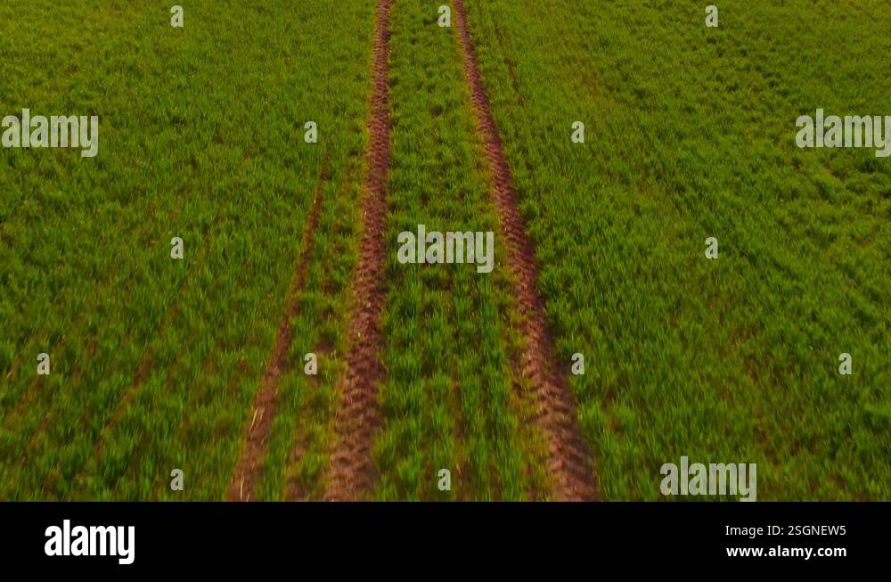 Field usa Stock Videos & Footage - HD and 4K Video Clips - Alamy