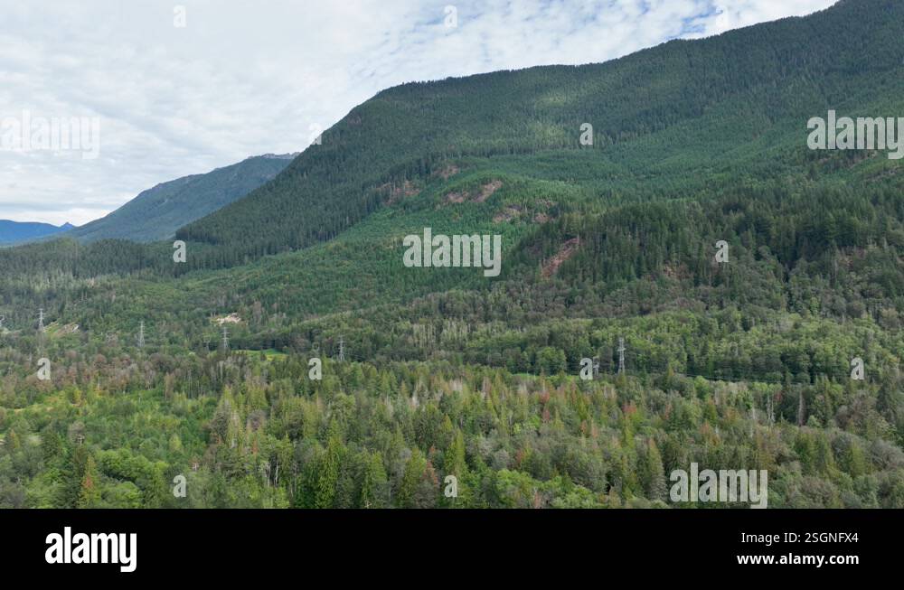Wide aerial view of Baring, Washington's densely forested mountains ...