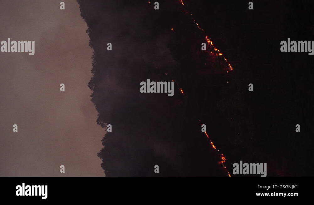Static view of wildfire in the forest. Night. Vietnam. Vertical format ...