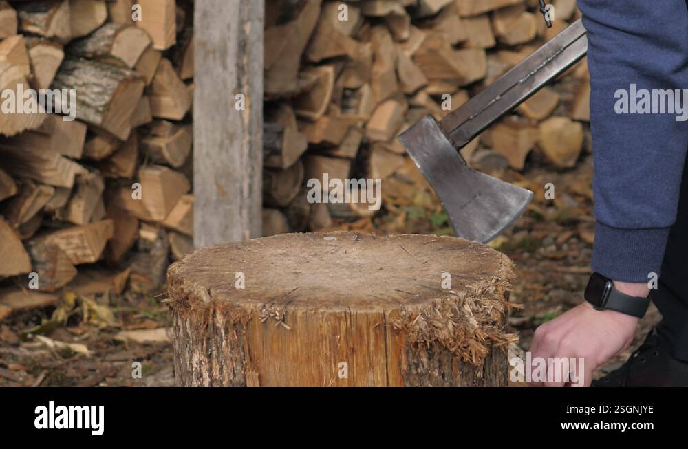 Closeup of mans hands with a log and a sharp vintage axe chop wood for ...