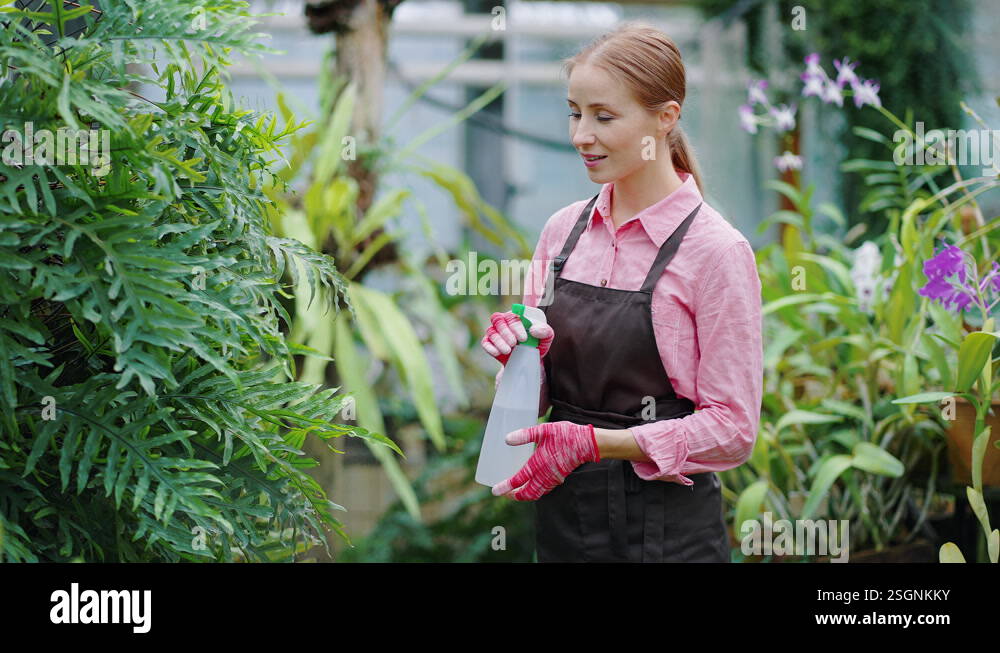 Smiling lady with apron sprays exotic bush in botanic garden Stock ...