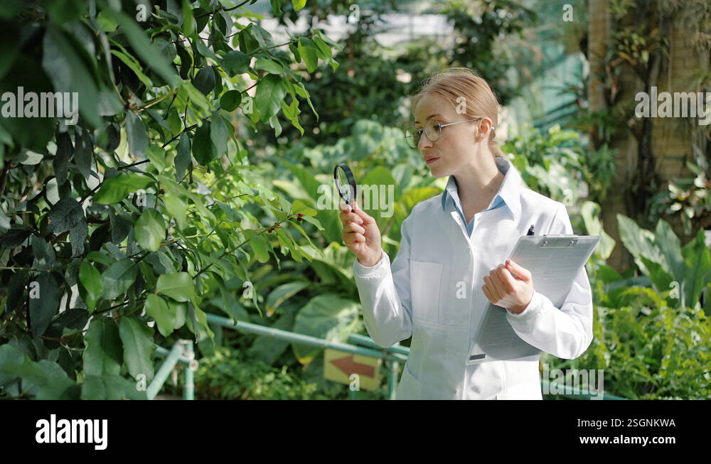 Scientist studies plants with magnifier glass in hothouse Stock Video ...