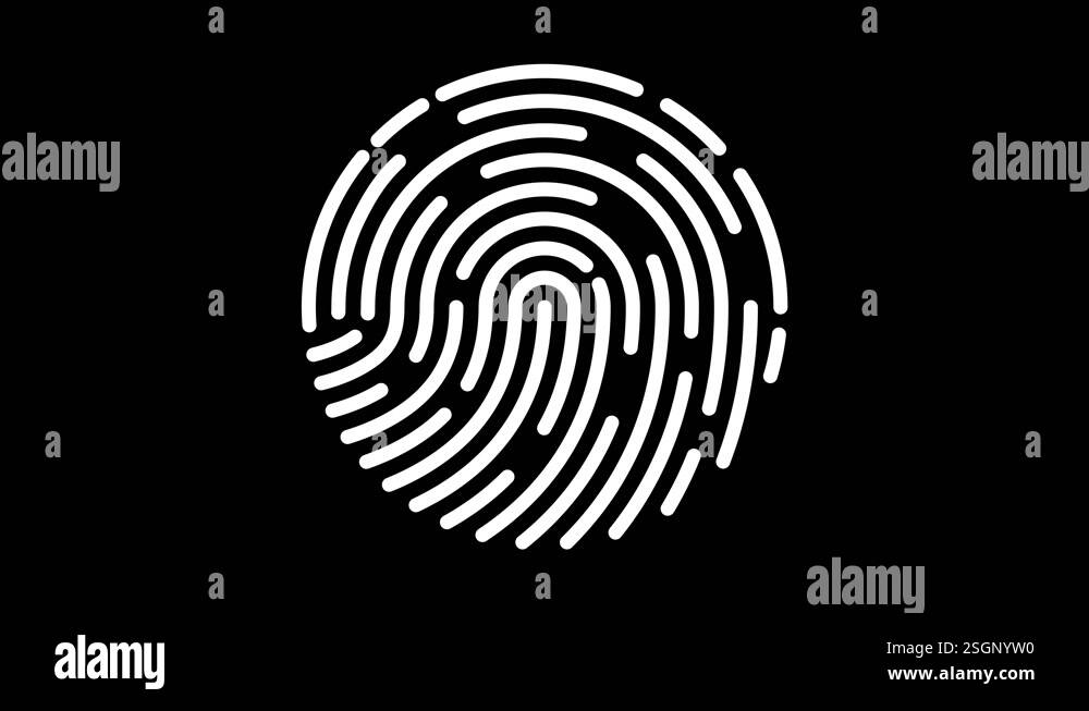 Simple Fingerprint Animation on Black Background and Green Screen Stock ...