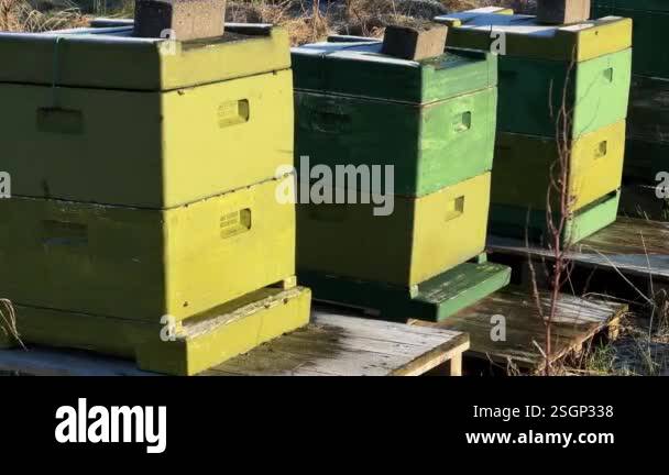 Snow covered bee boxes Stock Videos & Footage - HD and 4K Video Clips ...