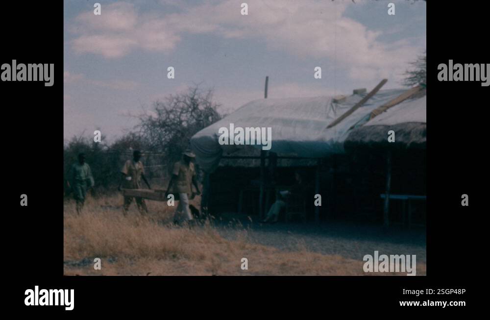 Africa 1960s: Two men carry an archaeological sieve, followed by a ...