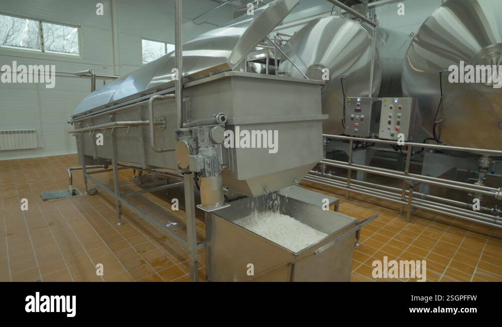 Cottage cheese pouring out of metal tank into a smaller cart at a dairy ...