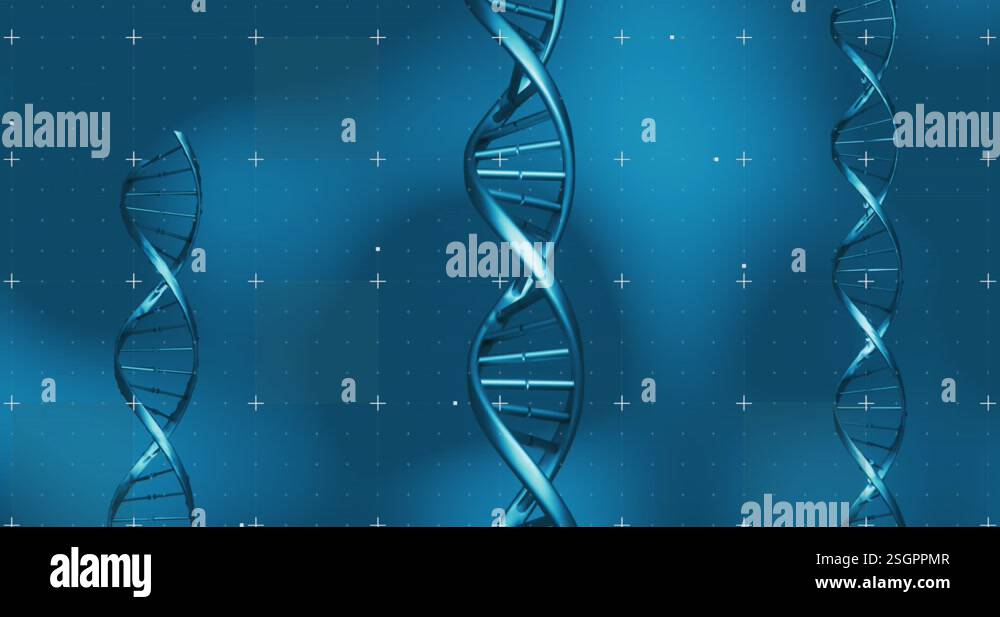 Animation dna strands over shapes Stock Videos & Footage - HD and 4K ...