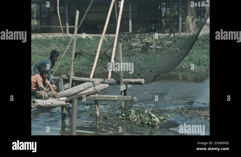 1970s: Boys pull net out of water and scoop their catch out of it with ...