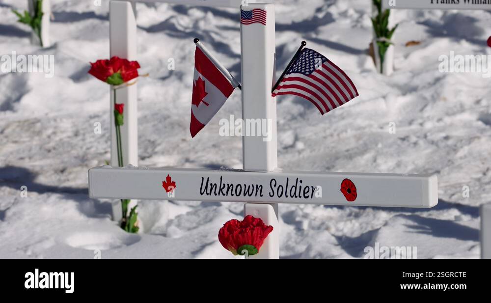 Remembrance field of honor Stock Videos & Footage - HD and 4K Video ...