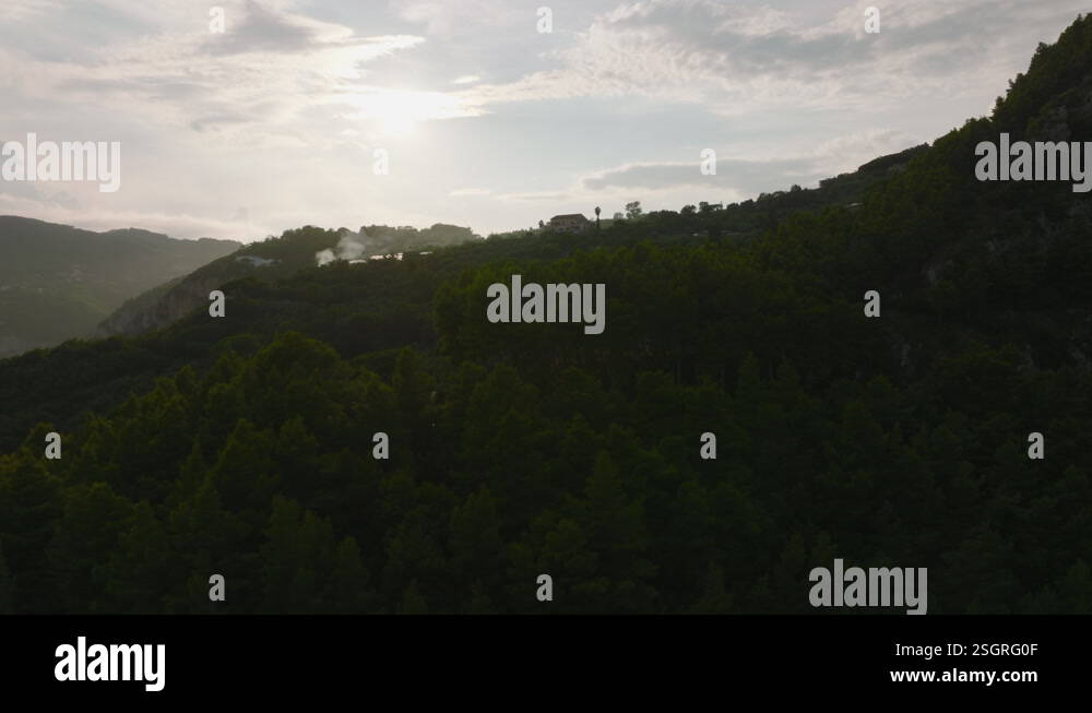 Fly above dense green vegetation growing in slope. revealing ridges and ...