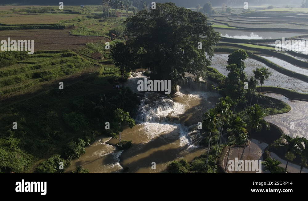 Aerial View Of Waikelo Sawah Waterfall And Rice Paddy Field In Tema ...