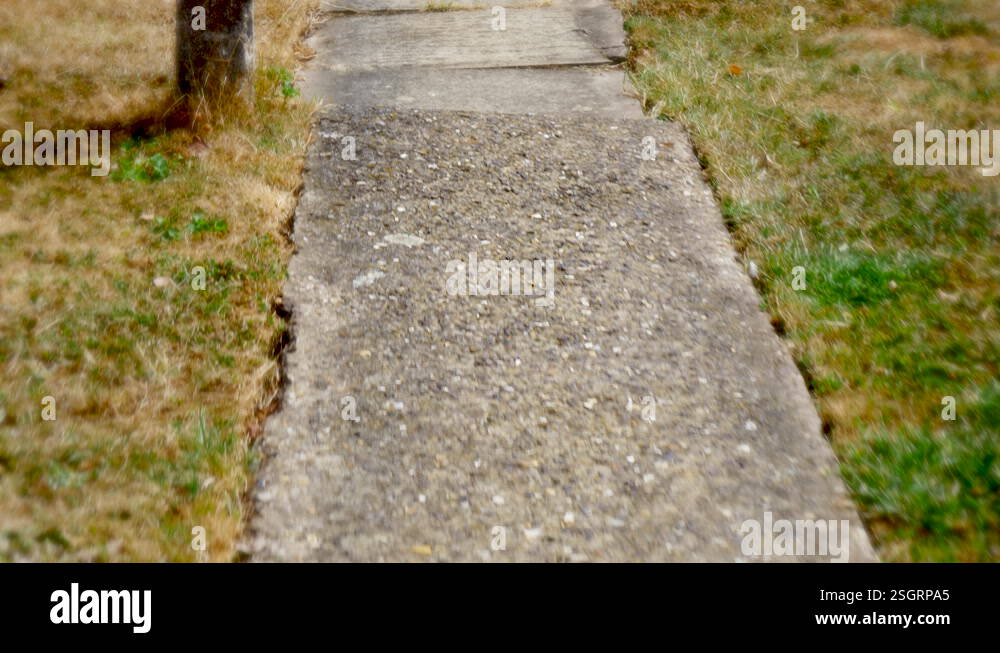 Following a straight old concrete path through dry grass in summer ...