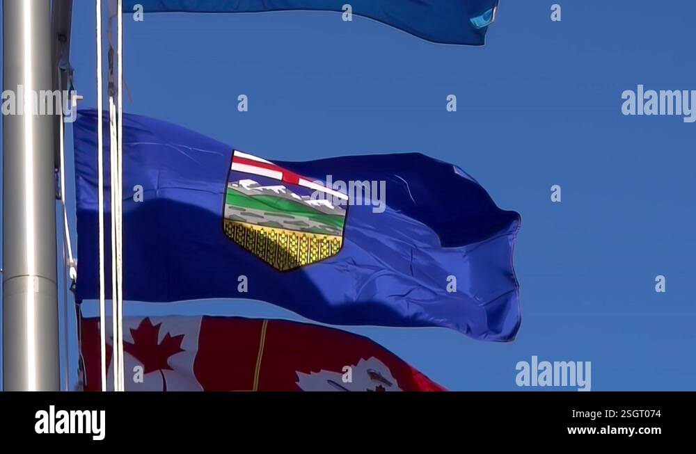 A Flag pole with several Army flags from Canada Alberta waving Stock ...