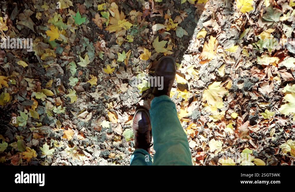 Stylish Woman Legs In Leather Shoes.Female Feet In Jeans And Shoes ...