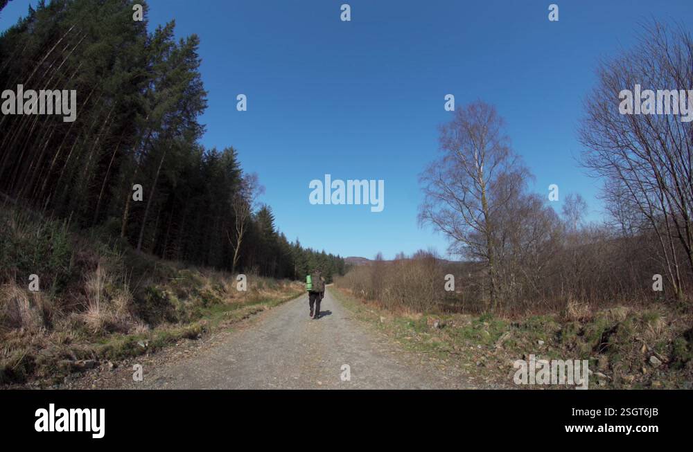 A backpacker walking an old dusty logging road through a forest Stock ...